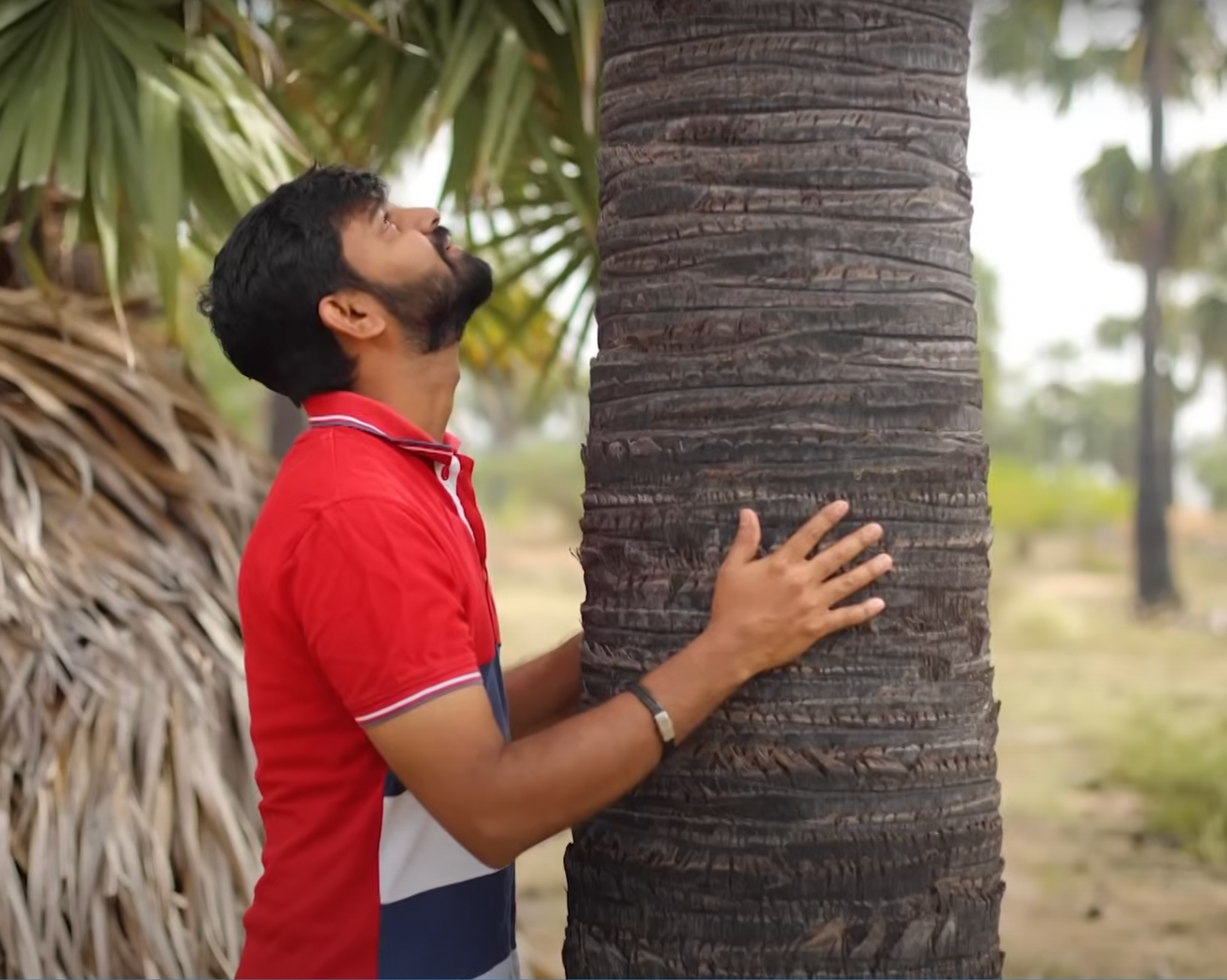 About Us | Healthy Palm Jaggery & Nutrition Mixes – Palm Era